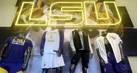 LSU Wall-Mounted Registered Collage - SEG Systems